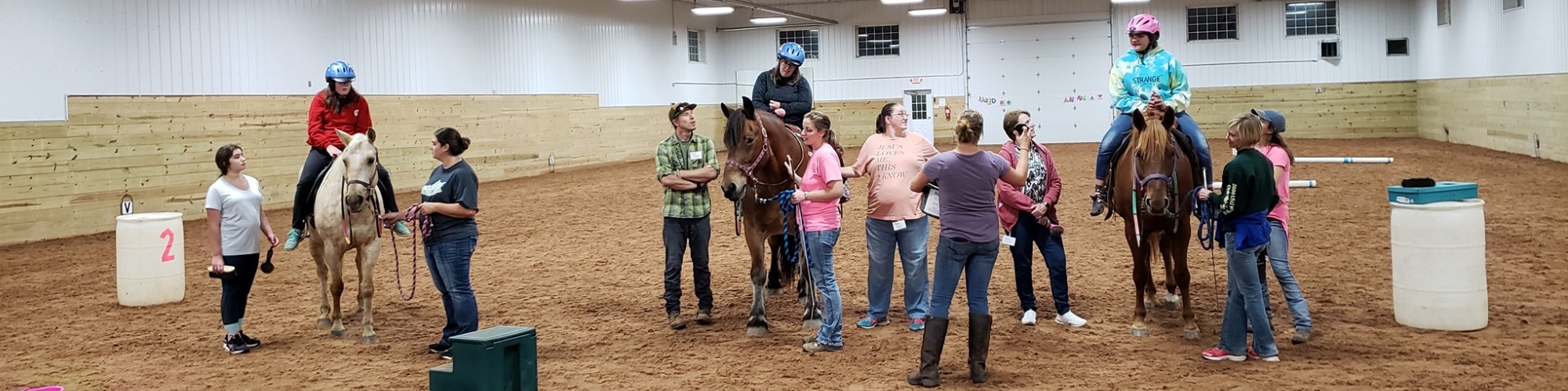 Stable Hands Equine Therapy Center | Equine Therapy for Special Needs ...